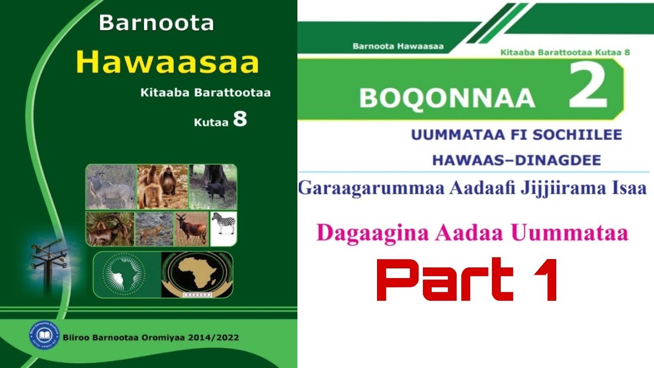 Hawaasa kutaa 8ffaa Boqonnaa 2 part 1 - YouTube