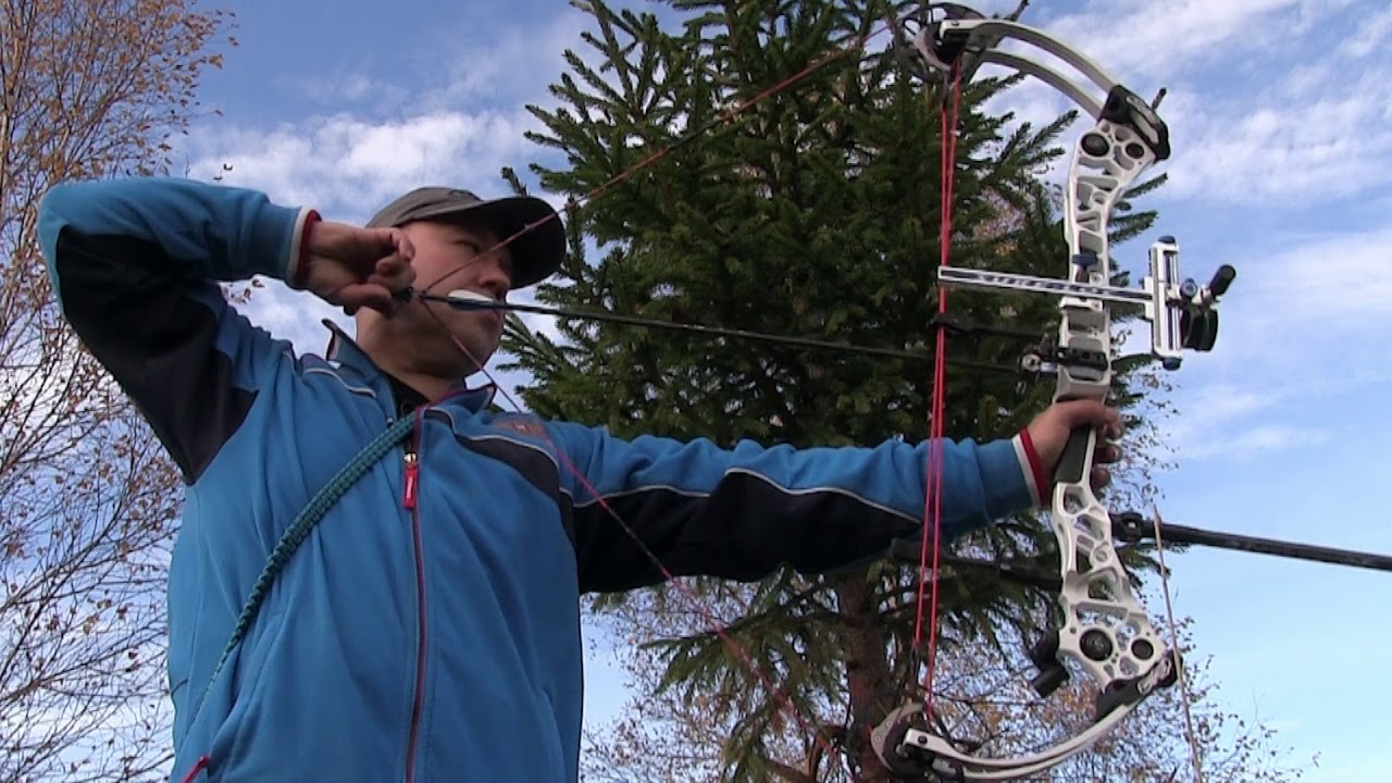 MATHEWS Halon X COMP | охота | кролик - YouTube