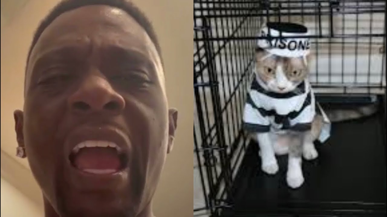 Boosie Bails Pet Cat Outta Jail Then Demands Feet Pics - YouTube