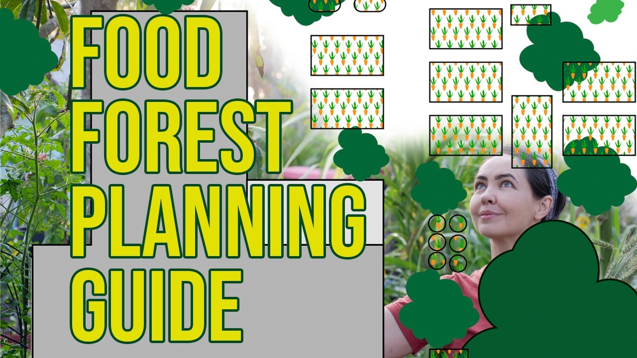 How to Create a Food Forest Site Plan: Sun, Shade, and Water Flow ...