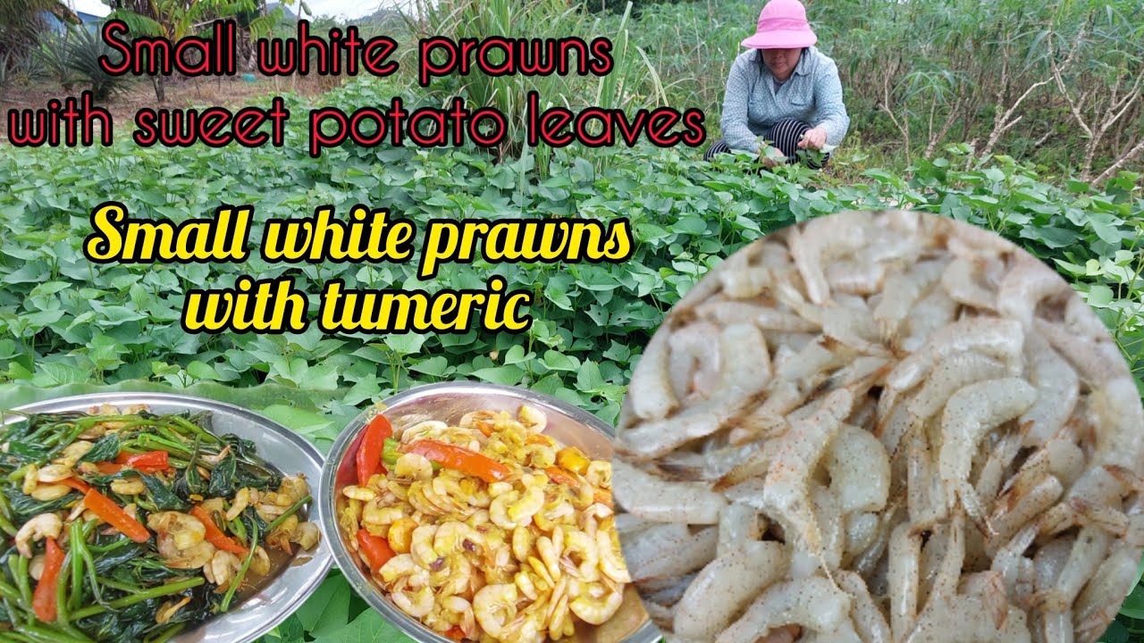 Cooking White Small Prawns With Sweet Potato Leaves// White Small ...