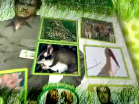 Álbum Brigada Animal 2005
