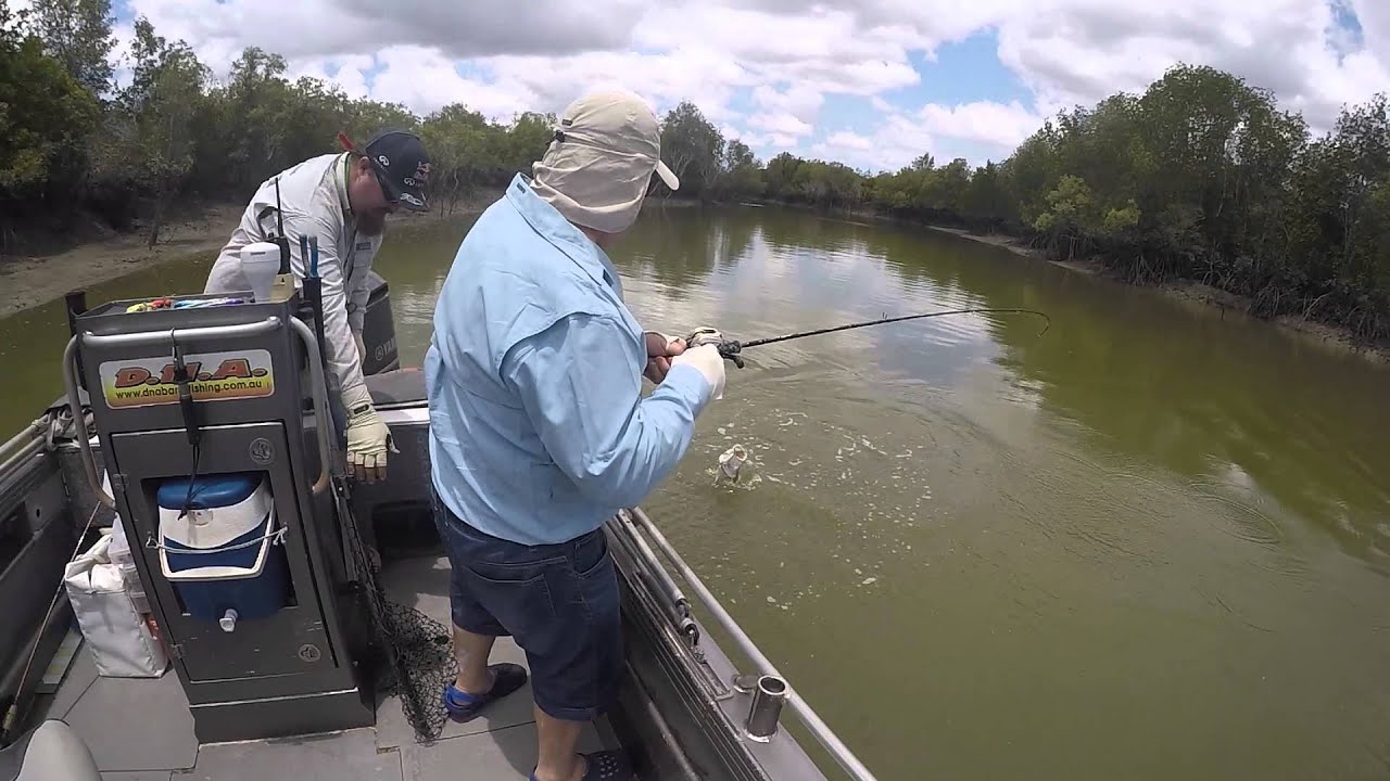 Barra jumping in Arnhem Land - YouTube