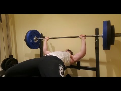 275 ATTEMPT? 225 FOR 7 REPS - HEAVY BENCHING + BACK - YouTube