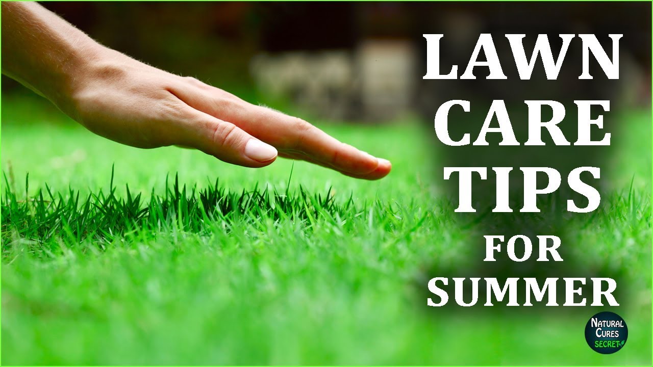 How to Keep Grass Green in Summer - Lawn Maintenance - YouTube