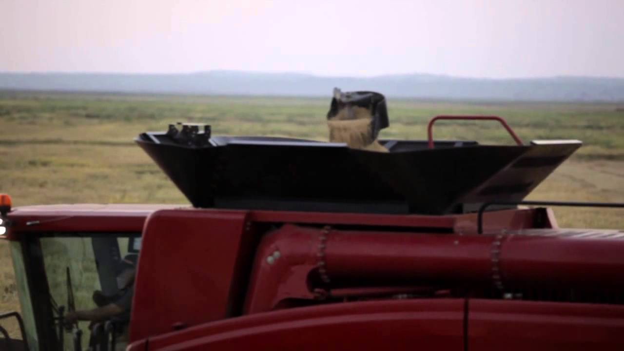 Olam Nigeria - Our rice business - YouTube