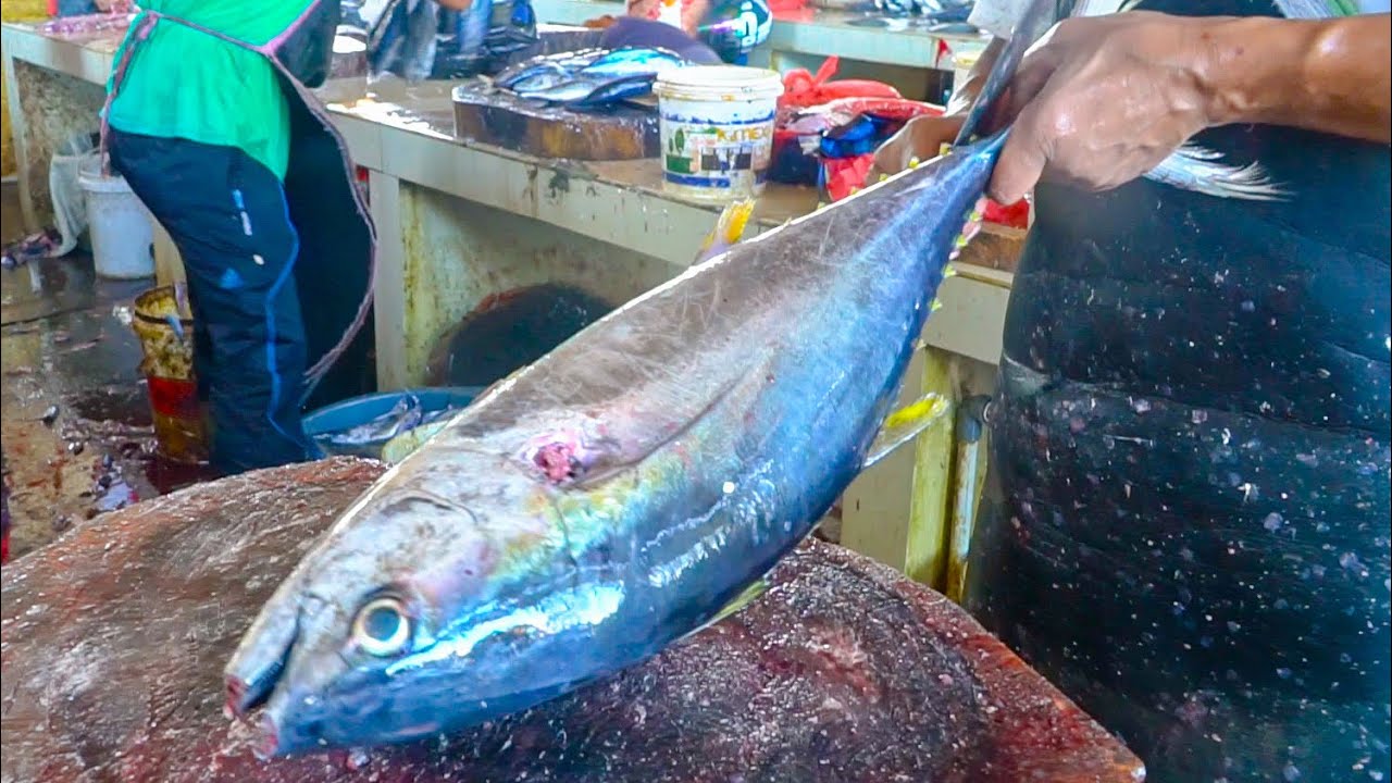 TRADITIONAL SHARPEST KNIFE || FASTEST TUNA & BARRACUDA FISH CUTTING ...