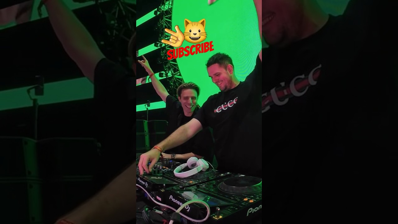 OIIA OIIA CAT RAVE🤘😹#festival#electronicmusic #content cat # ...