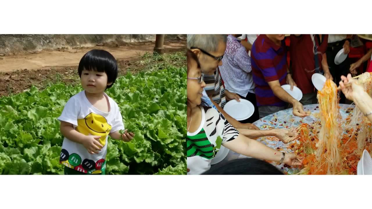 Steven tan 2014 - YouTube