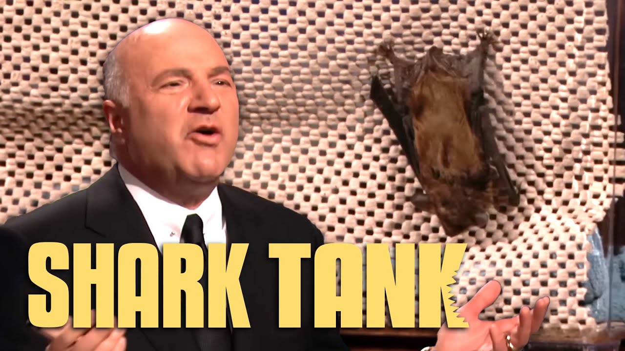 BatBNB Showcases Kevin O'Leary's Passion For Bats | Shark Tank US ...