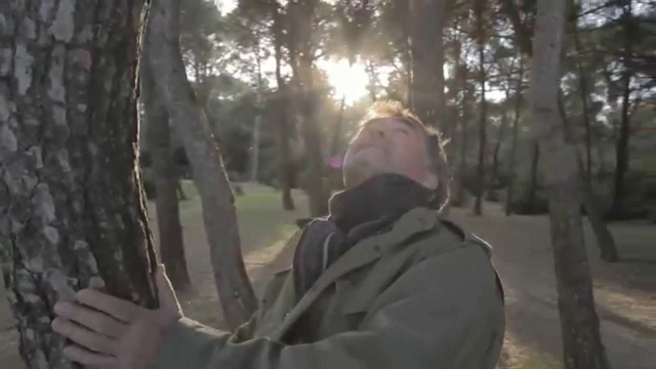 Immersion - Teaser - YouTube