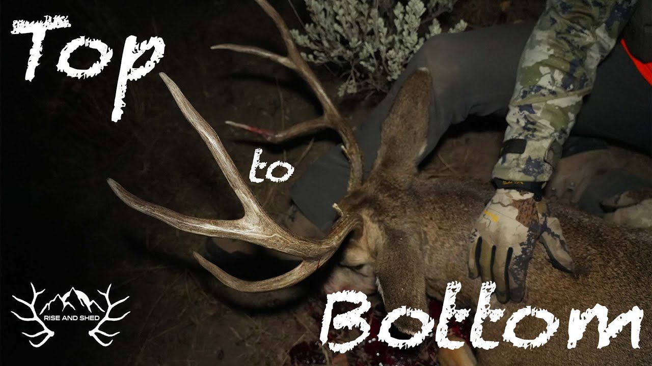 Top to Bottom: A Public Land Mule Deer Rut Hunt - YouTube