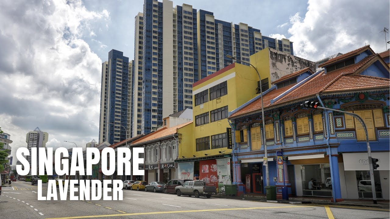 Singapore City: Lavender Neighbourhood Walking Tour (4K HDR) - YouTube