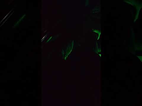 Mehmet oğuz Köse müthiş amatör ses!!!!