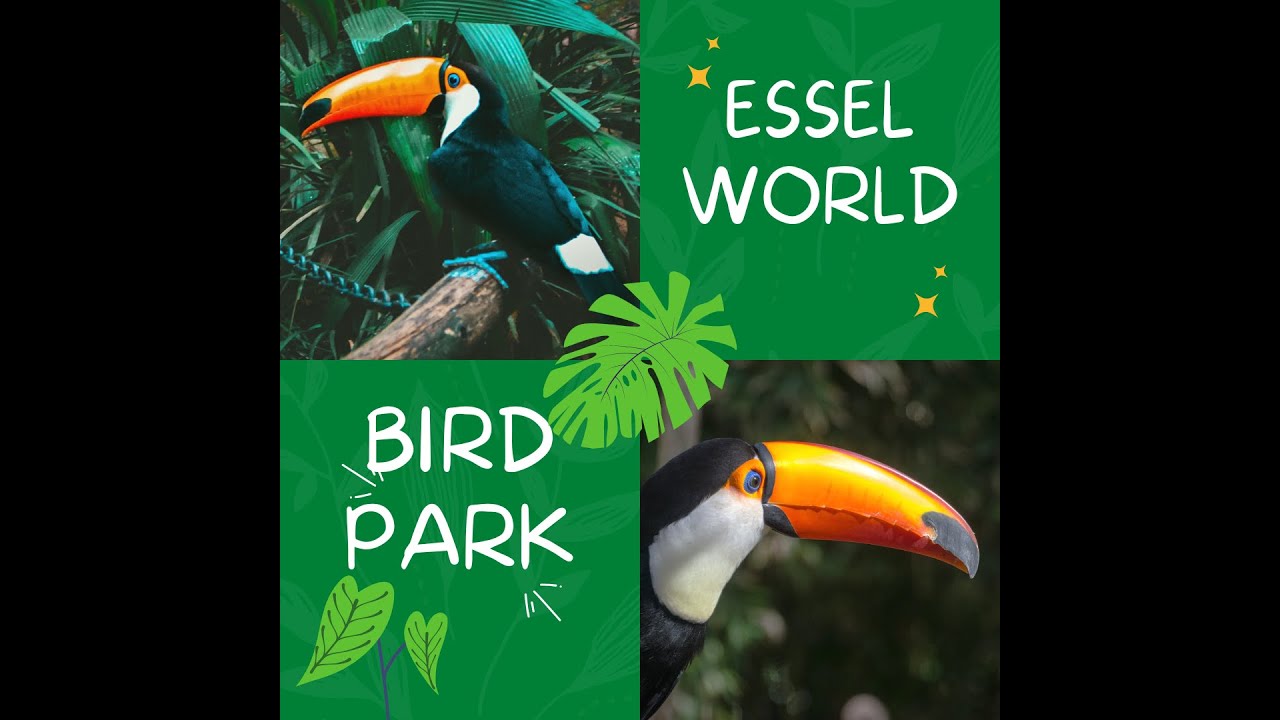 Essel World Bird Park,Gorai,Mumbai. - YouTube