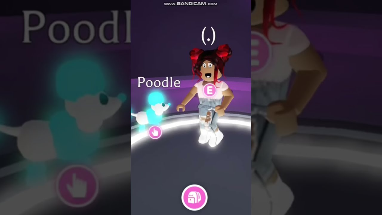 🐩The Making Of A Mega Neon Poodle! 🐩| Roblox Adopt me - YouTube