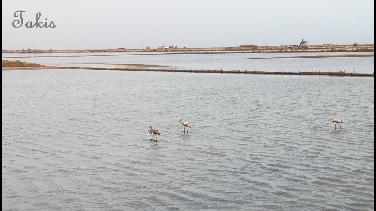 A day at the Missolonghi Lagoon - Greece - YouTube