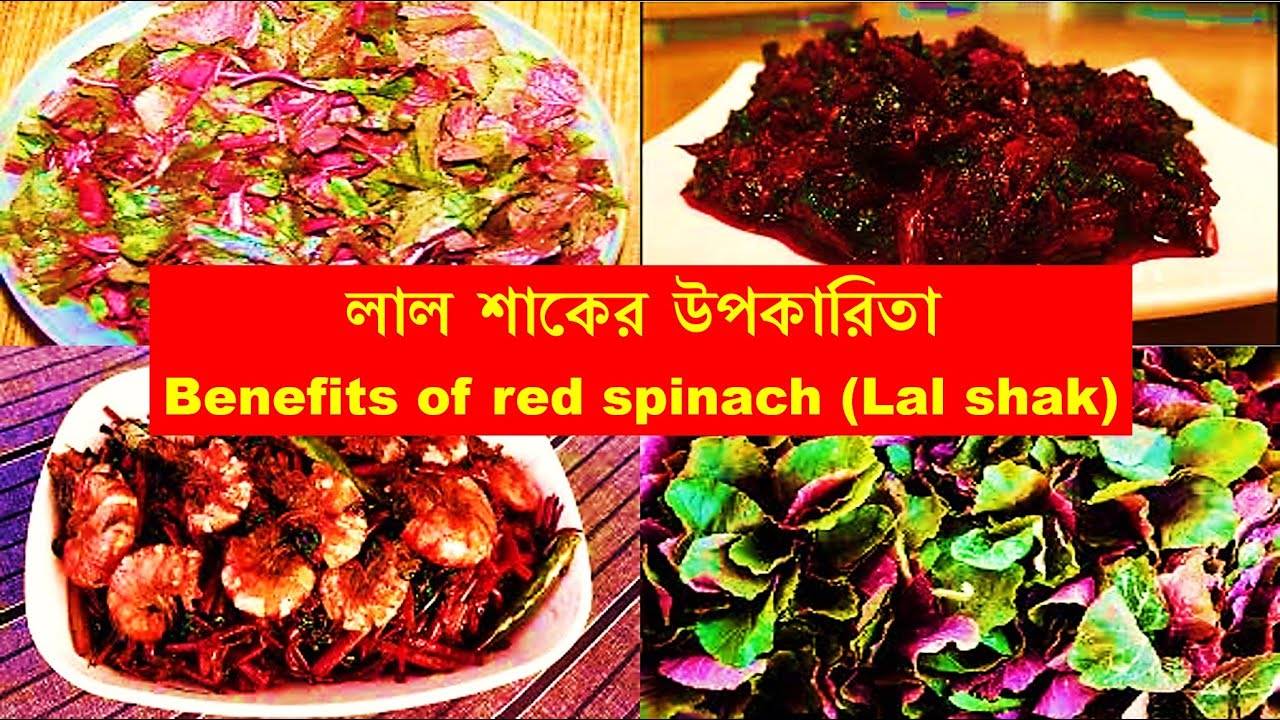 লাল শাকের উপকারিতা /Benefits of red spinach (Lal shak) - YouTube