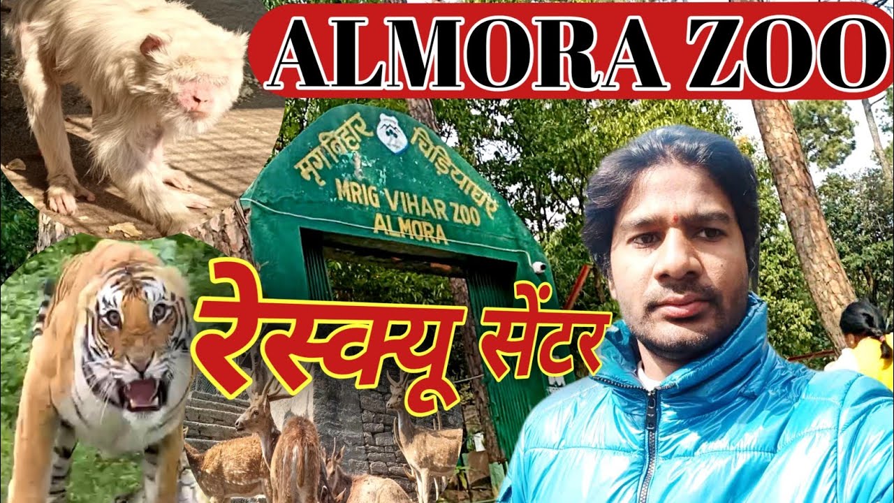 ALMORA ZOO || रेस्क्यू सेंटर अल्मोड़ा || आदमखोर बाघ यहीं पर लाए जाते ...