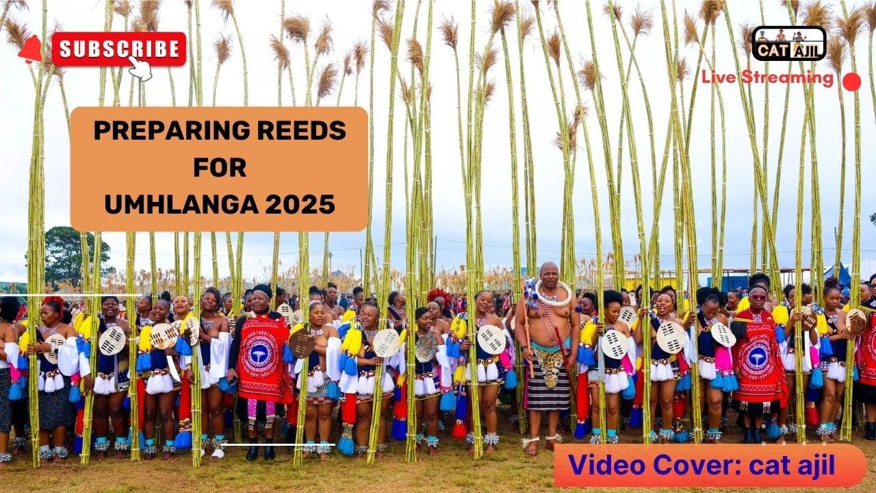 Imbali's Journey: Preparing Reeds for Umhlanga 2025 🌿 | Zulu Reed Dance ...
