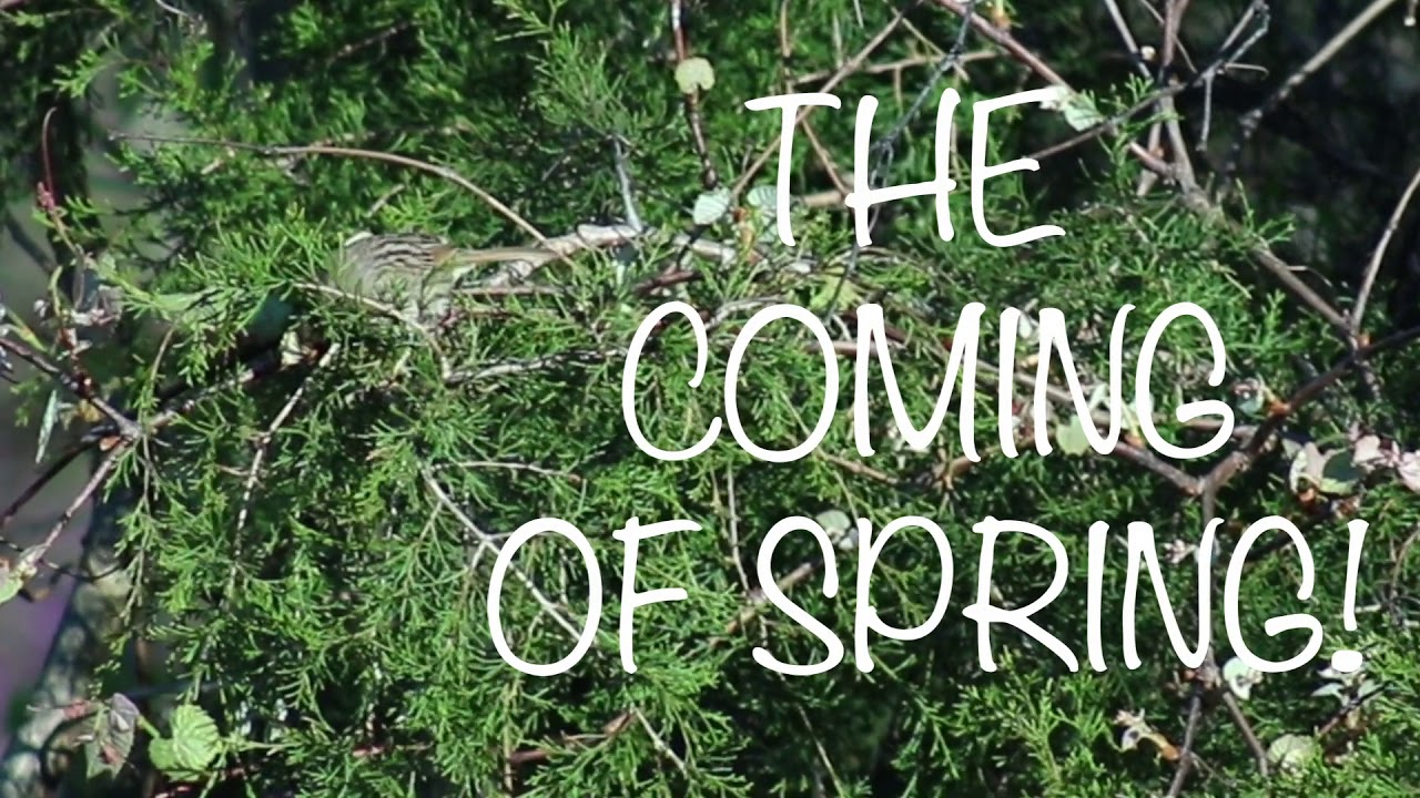 The Coming Of Spring - YouTube