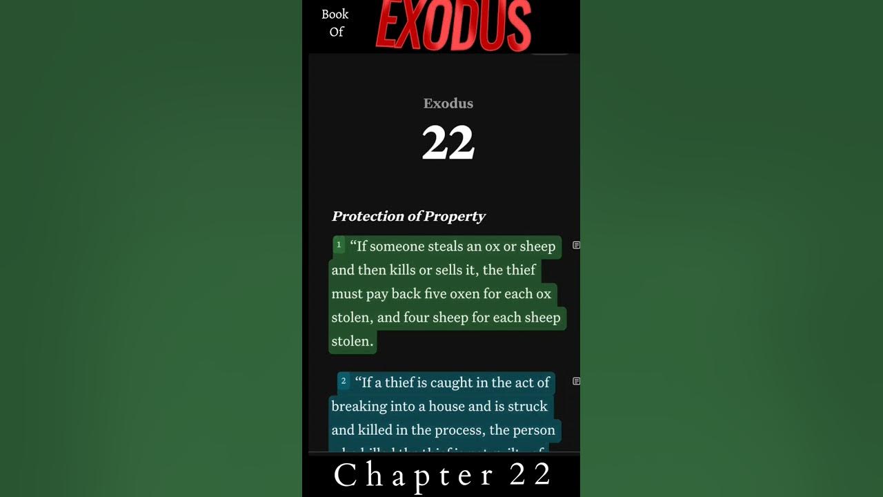 Reading the Book of Exodus Chapters 21 to 25 NLT - YouTube