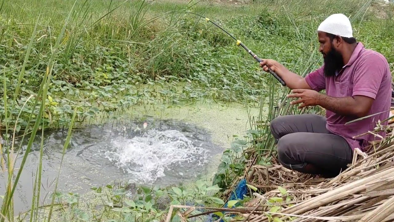 Abdul SAMI FISHING|Cat Fish Catching|Mancing Fishing|Unique Fishing ...