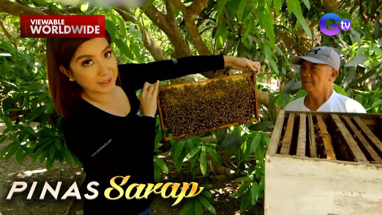 Proseso sa paggawa ng honey, sinubukan ni Kara David! | Pinas Sarap ...