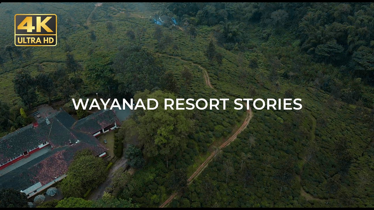 Wayanad Series | 4K UHD | Resorts | Teaser Vlog - YouTube