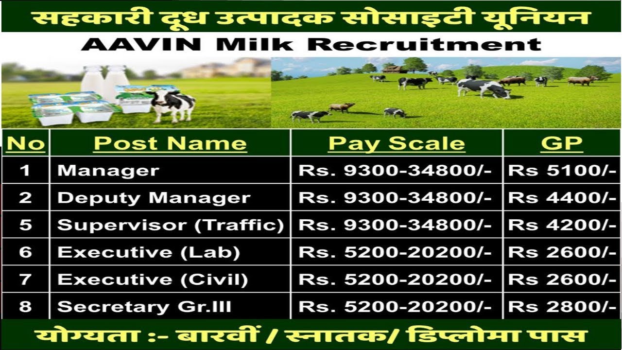 Co-Operative Milk Producers Societies Union Ltd (AAVIN) Recruitment ...
