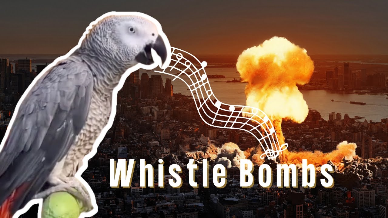 Gizmo's Whistle Bombs Are Everything! - YouTube