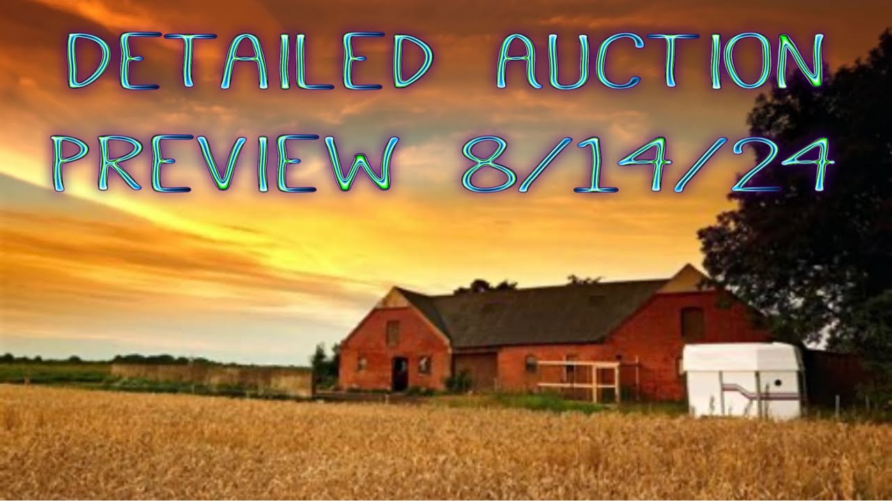 Detailed Auction Preview video for todays auction, 8/14/24 - YouTube