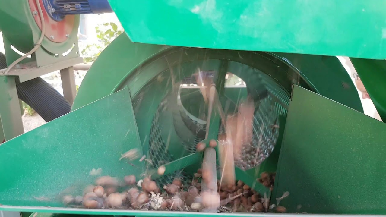NUT DRYING AND CLEANING GIAMPI MACHINERY - YouTube