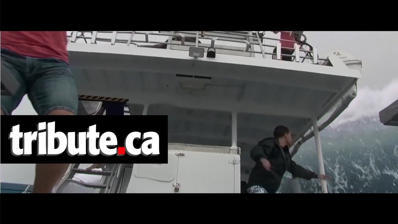 Open Water 3 Cage Dive - Movie Clip: "Boat Hit By Wave" - YouTube