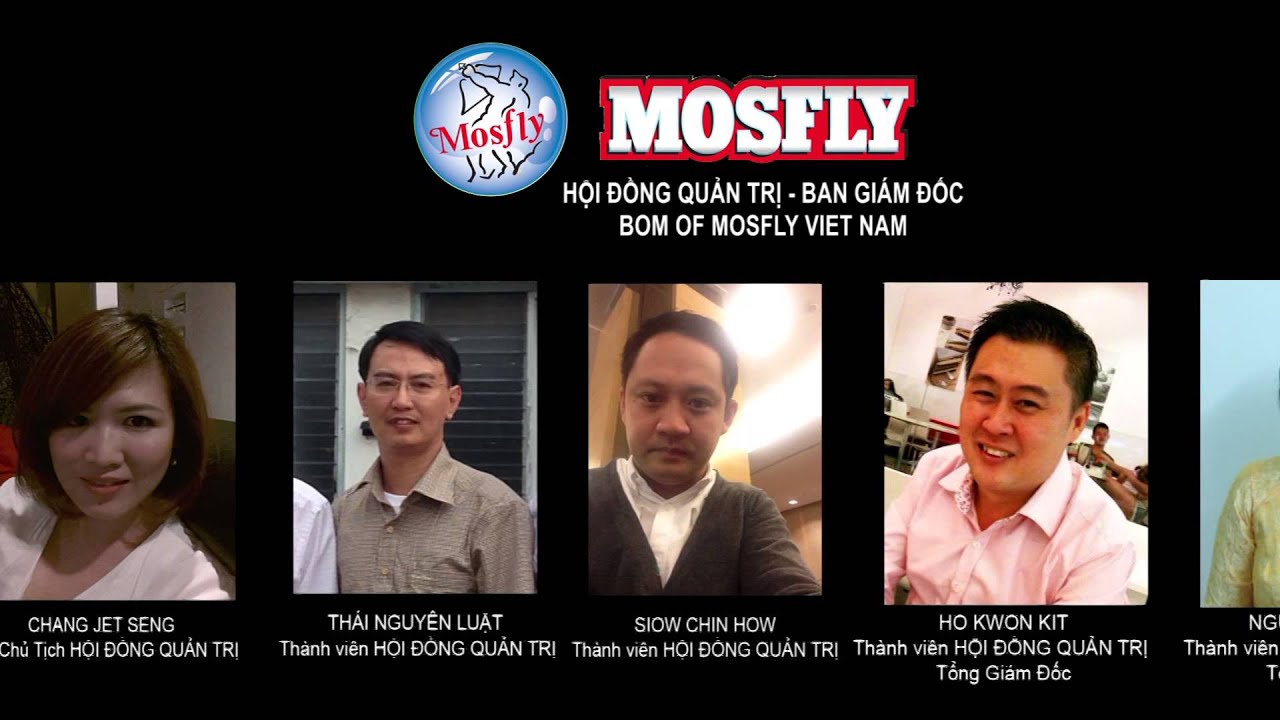 MOSFLY VIET NAM INDUSTRIES MVI - YouTube
