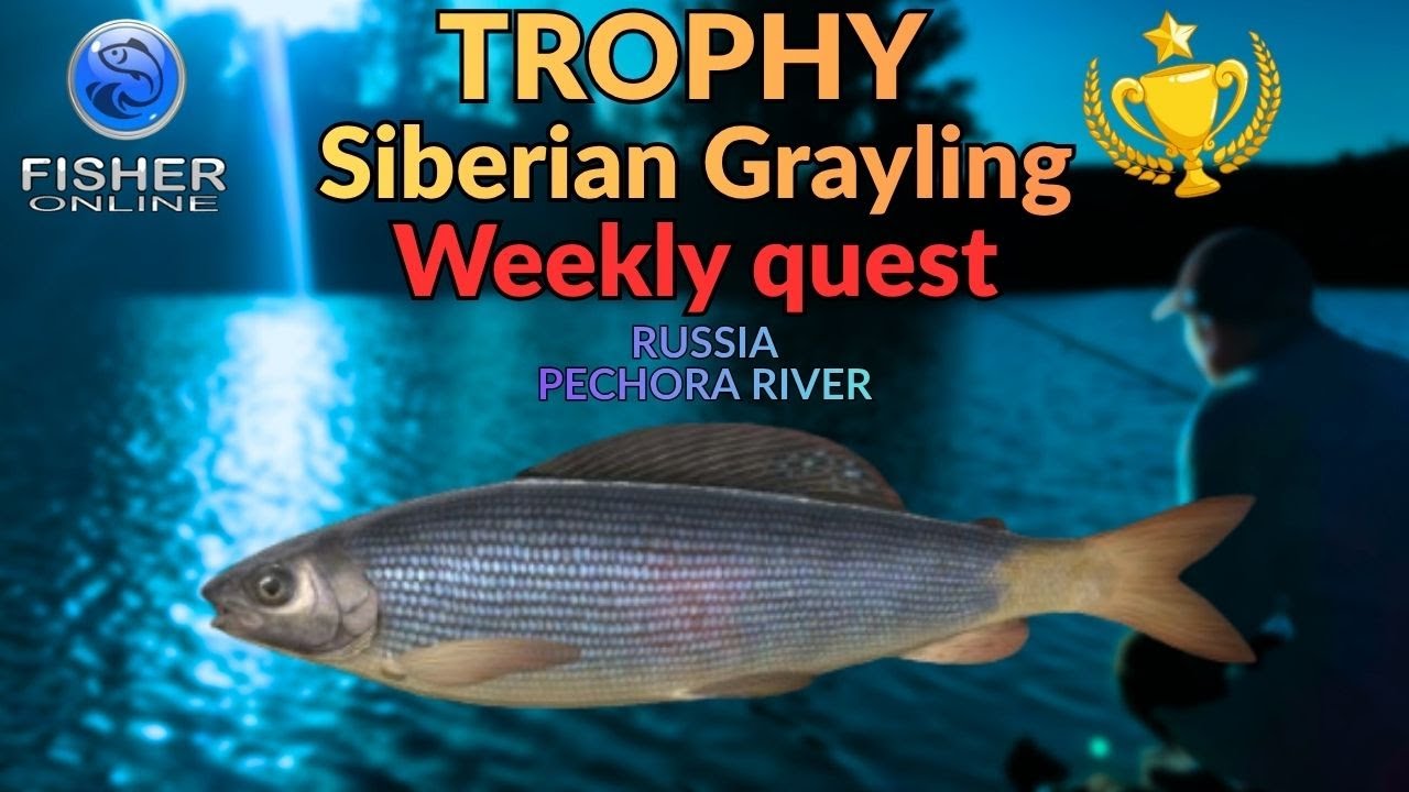INSANE Trophy Siberian Grayling! Weekly Quest Russia Pechora River ...