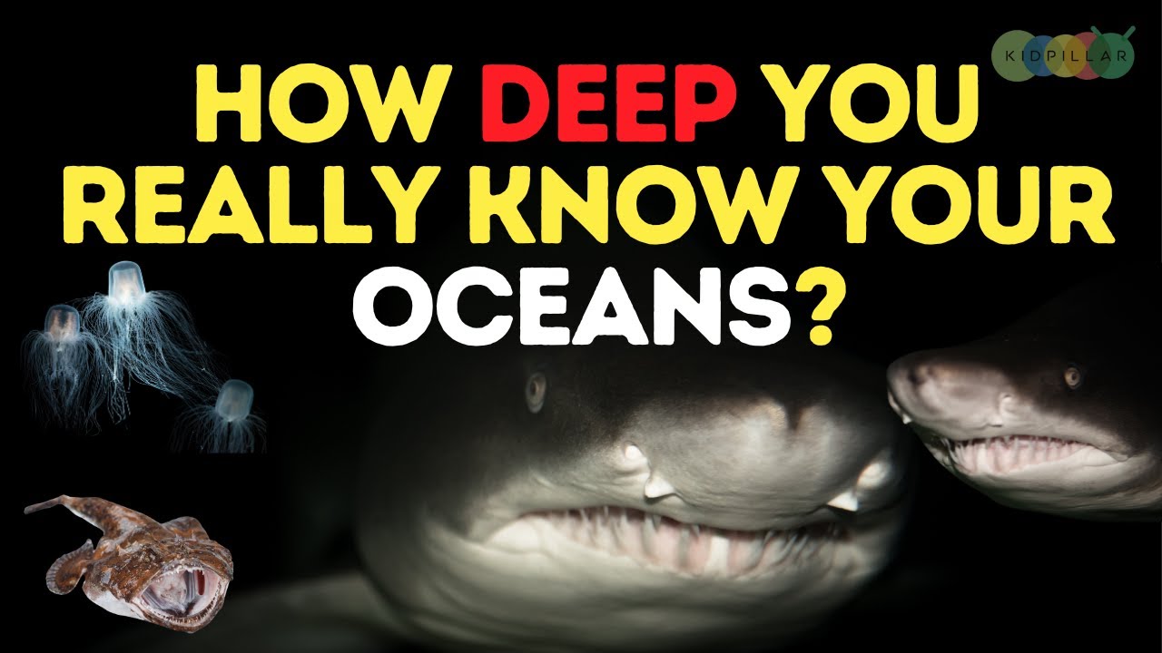 Unbelievable Ocean Facts Quiz – Boost Your Knowledge About Marine ...