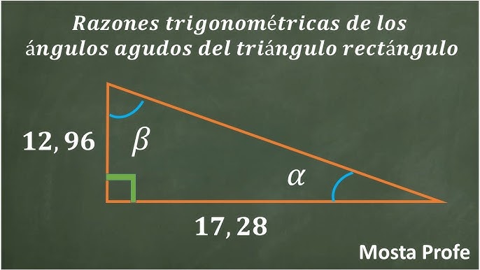 Razones Trigonometricas De Un Ngulo Agudo Tringulos Semejanza Y