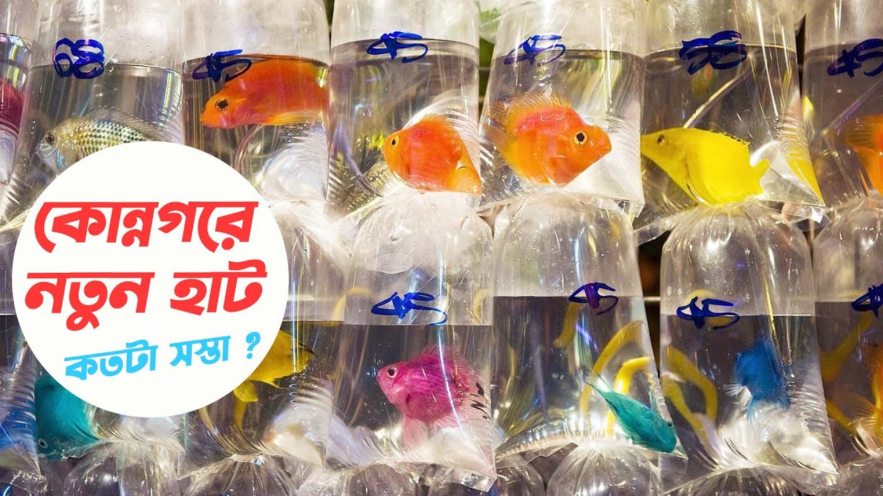 কোন্নগরে নতুন হাট | Fish Market | New Price Updates | HOOGHLY DISTRICT ...