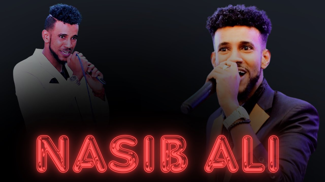 AL FANAN NASIB ALI HEES CUSUB ANA XARIIRKII WAAN JARAY LYRICS - YouTube