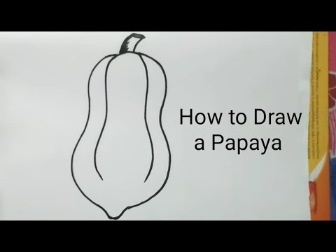 How to draw a Papaya | Kids Drawing - YouTube