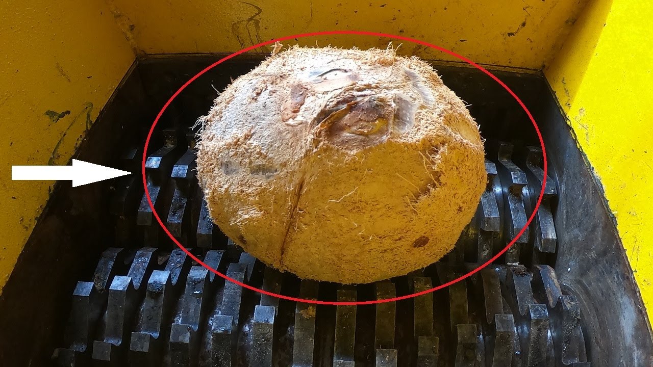 Big Coke, Old Coconut vs Shredder Machine Amazing - YouTube