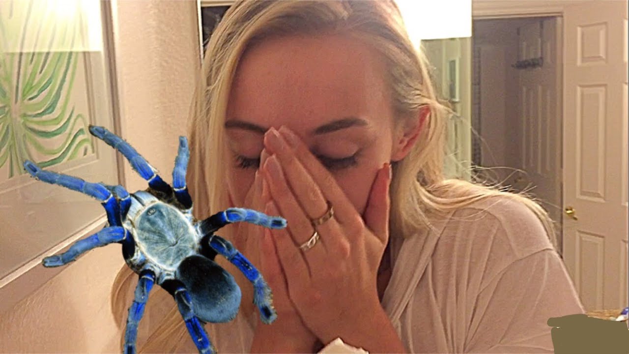 ARE GIRLS REALLY AFRAID OF BUGS YouTube are-girls-really-afraid-of-bugs-youtube