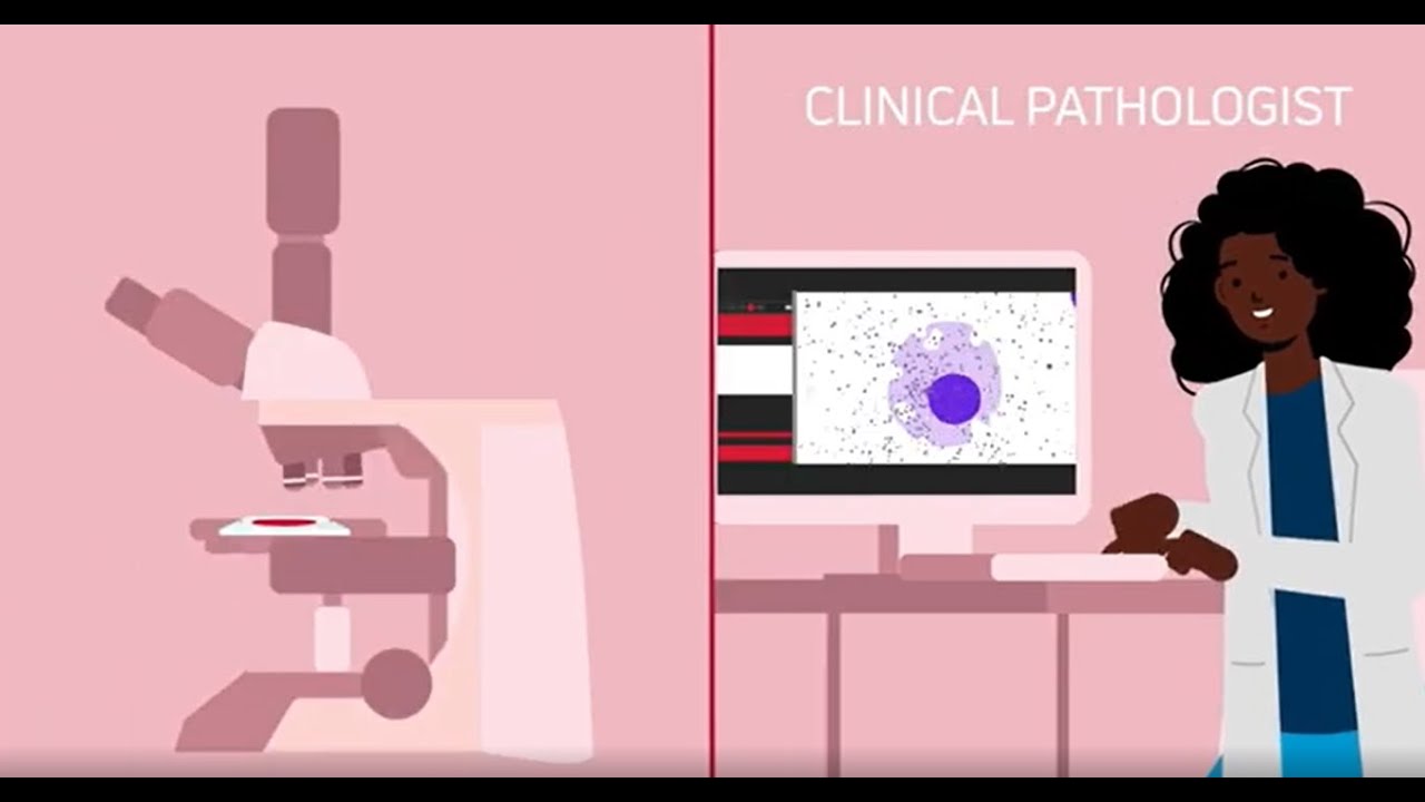 Your Introduction to Cellfie® - YouTube