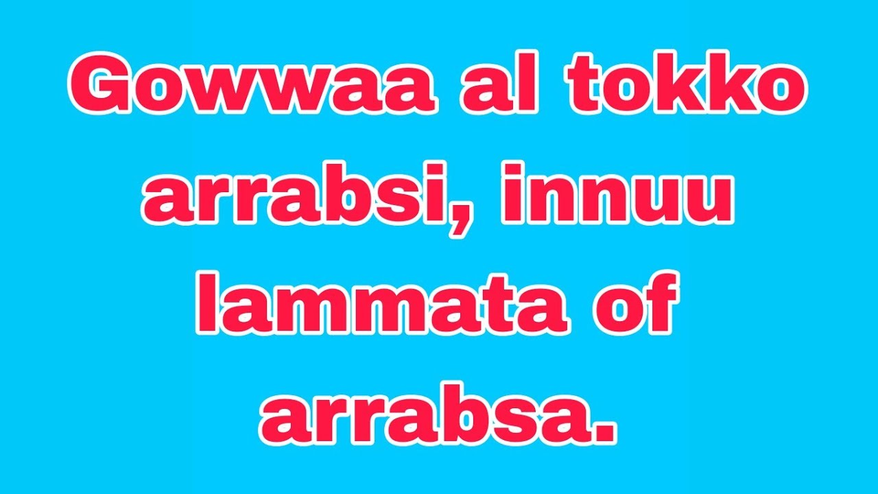 2win Ibsishan Hafsa Narra Fuudhate Ja'a Miskina!! - YouTube