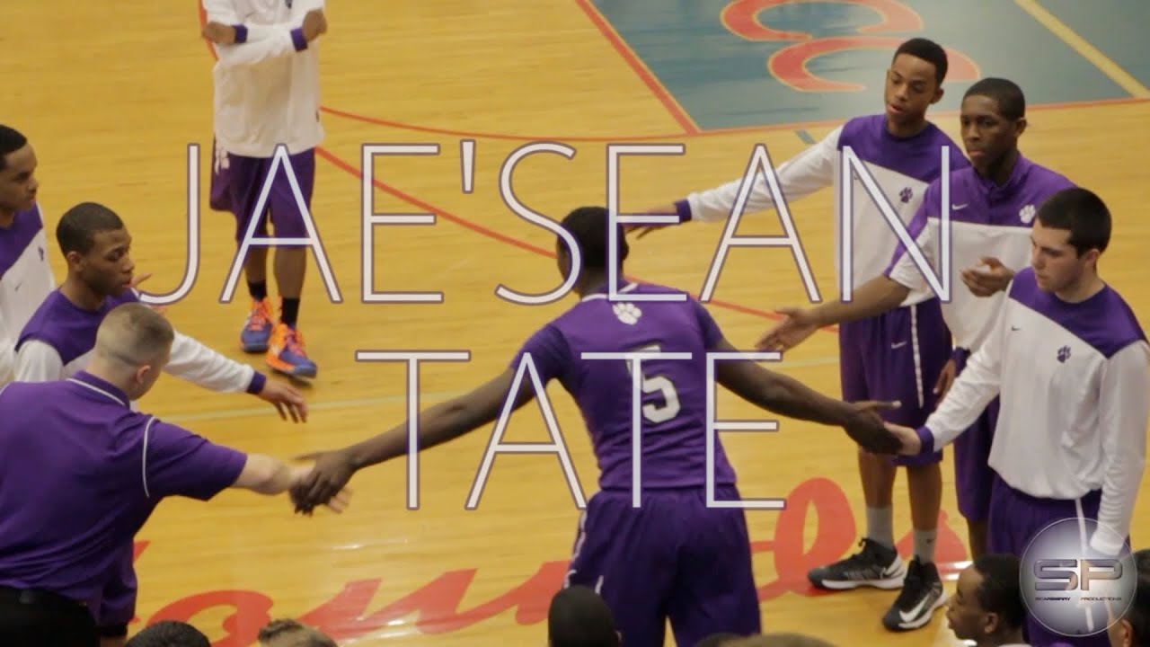 Ohio #1 Jae'Sean Tate scores 30 [Ohio State c/o 2014] - YouTube