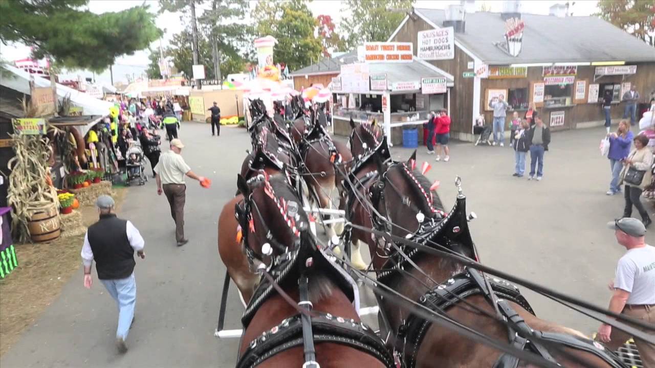 Ride the Hallamore Hitch - YouTube
