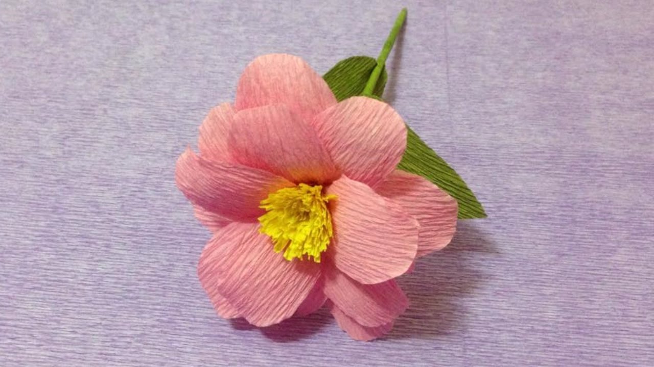 How to Make Pink Crepe Paper flowers - Flower Making of Crepe Paper ...