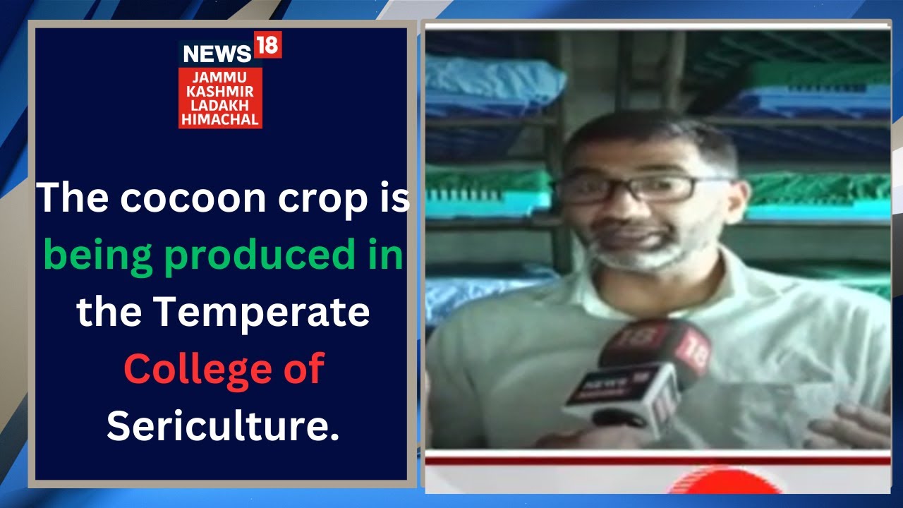 The cocoon crop is being produced in the Temperate College of ...