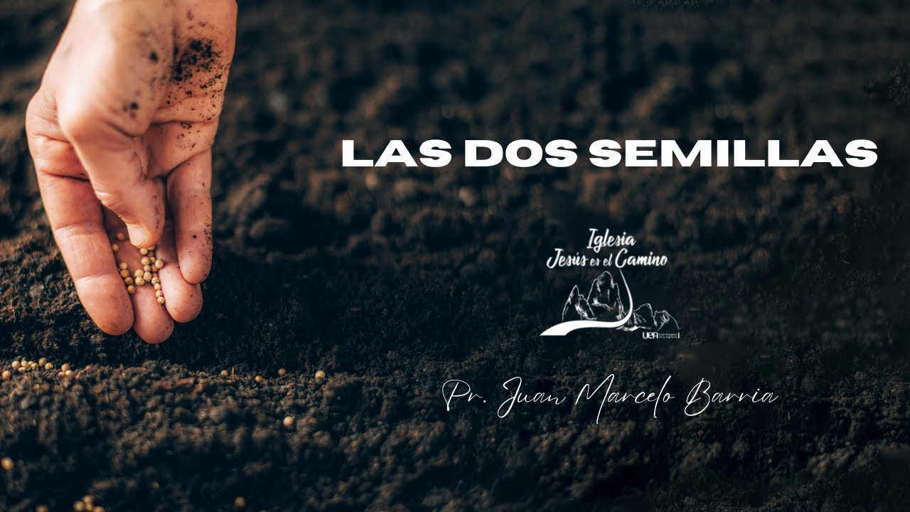 Las Dos Semillas 06 noviembre 2022 - YouTube